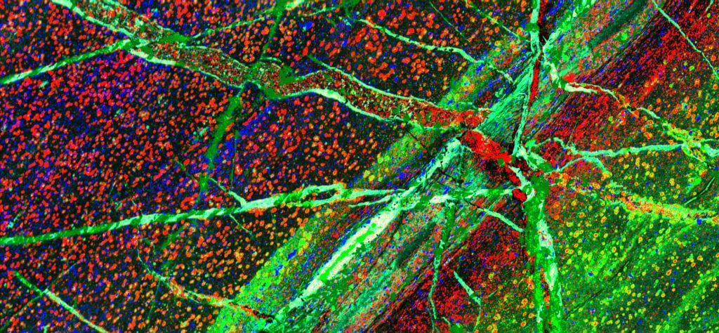 What to know about graphite: the mineral of extremes - Oresome Resources